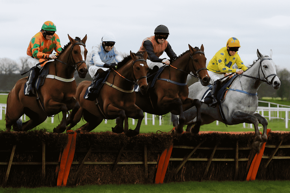 Horses to Follow 2025/2026 – Top Jump Racing Horses