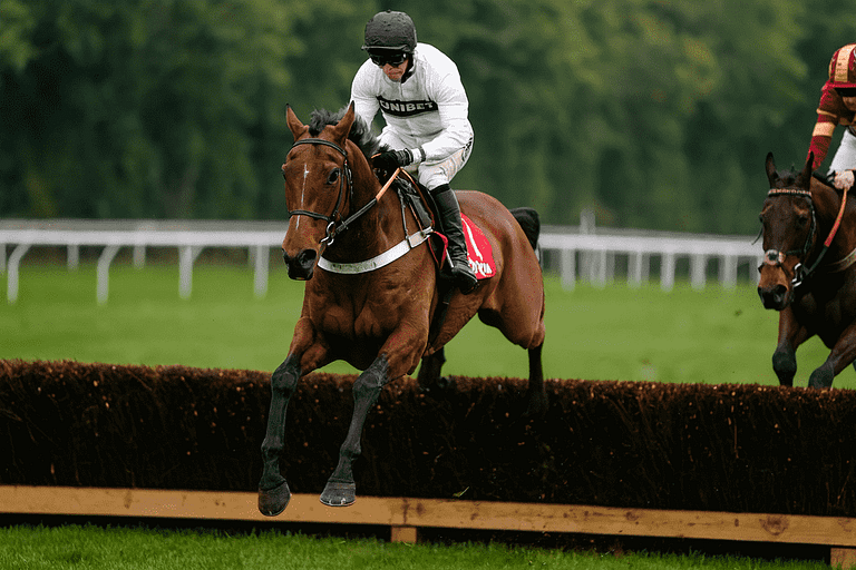 Horses to Follow 2025/2026 – Top Jump Racing Horses